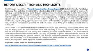 Setting Up an Almond Processing Plant Project Report 2024.pdf