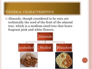 Almonds agri import in india | PPTX