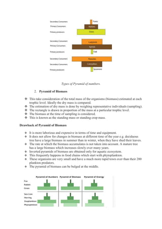 A_L_notes_Ecology.docx