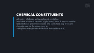 ALOE Pharmacognosy | PPTX | Chemistry | Science