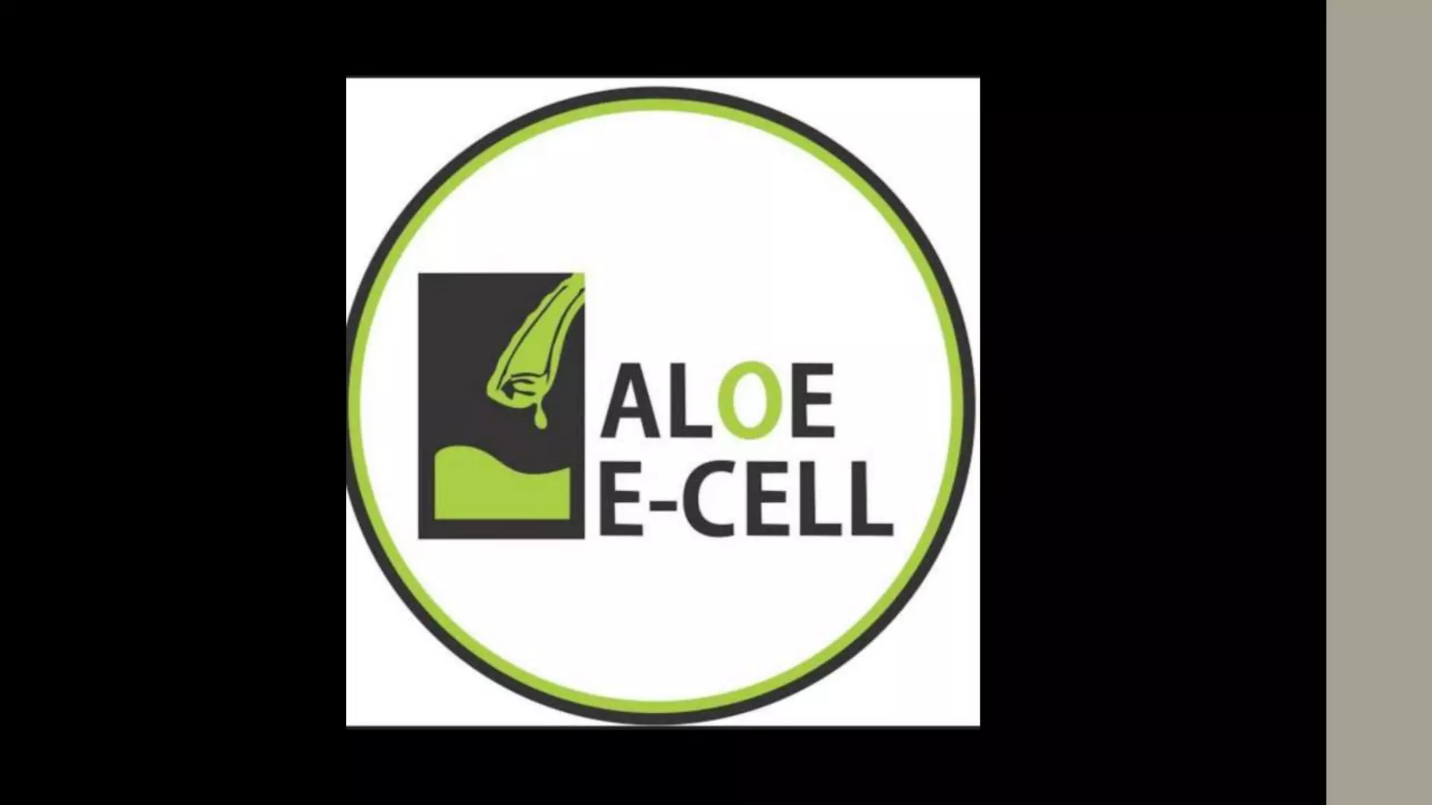 ALOE E-CELL BATTERY (6).pptx