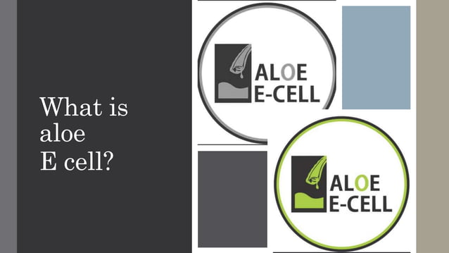 ALOE E-CELL BATTERY (6).pptx
