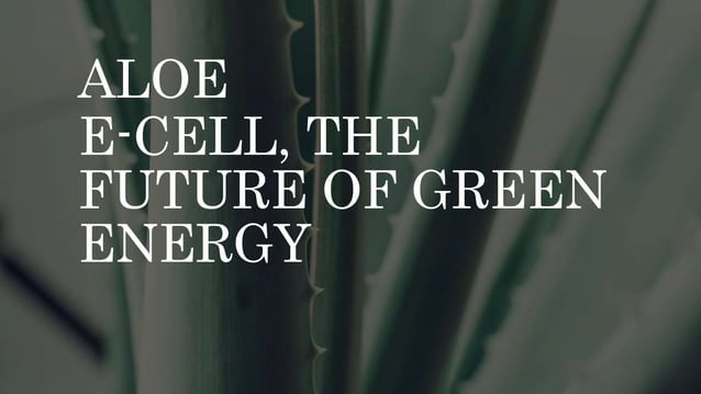ALOE E-CELL BATTERY (6).pptx