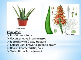 Aloe (Aloe vera) | PPTX