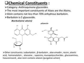 Aloes(in details) | PDF