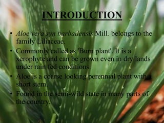 plant tissue culture of aloe vera | PPTX