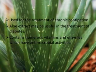 plant tissue culture of aloe vera | PPTX