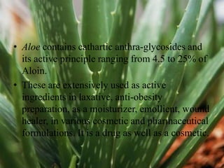 plant tissue culture of aloe vera | PPTX