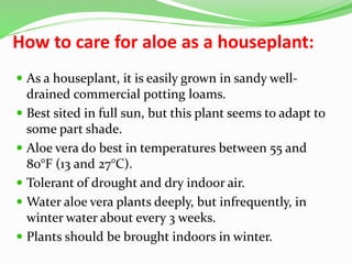 Aloe vera | PPTX