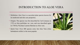 aloe vera.pptxsdaaaaaaaasaddddddddddddsd | PPT