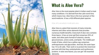 Aloe Vera Farming Guide | PPTX