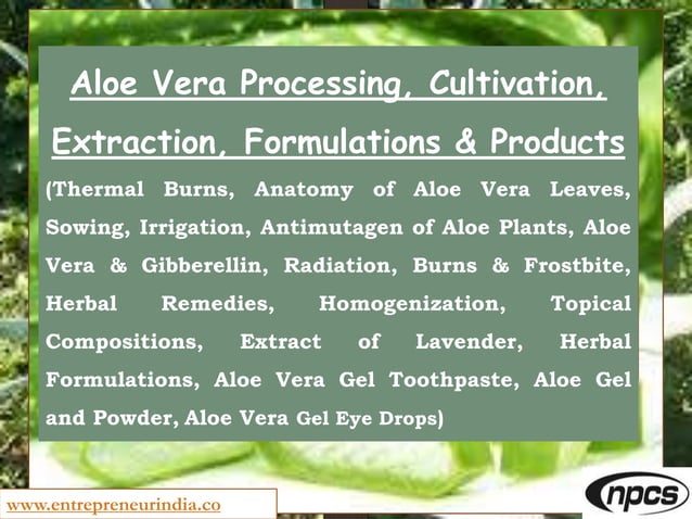 Aloe Vera Processing, Cultivation, Extraction, Formulations & Products ...