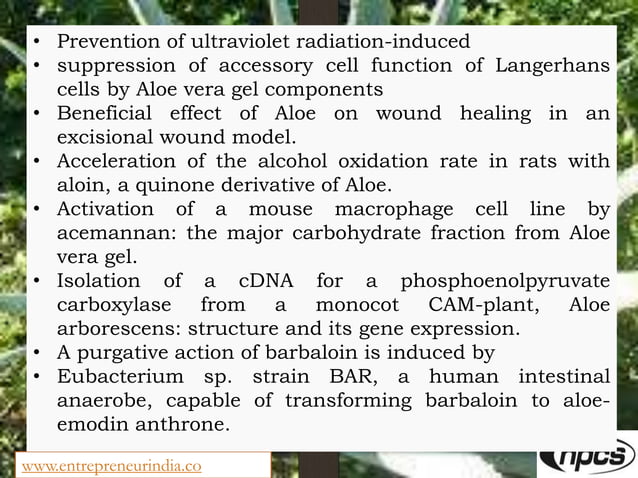 Aloe Vera Processing, Cultivation, Extraction, Formulations & Products ...