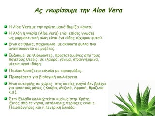 Aloe vera hellas μια καινοτόμος ιδέα με προοπτικές | PPT