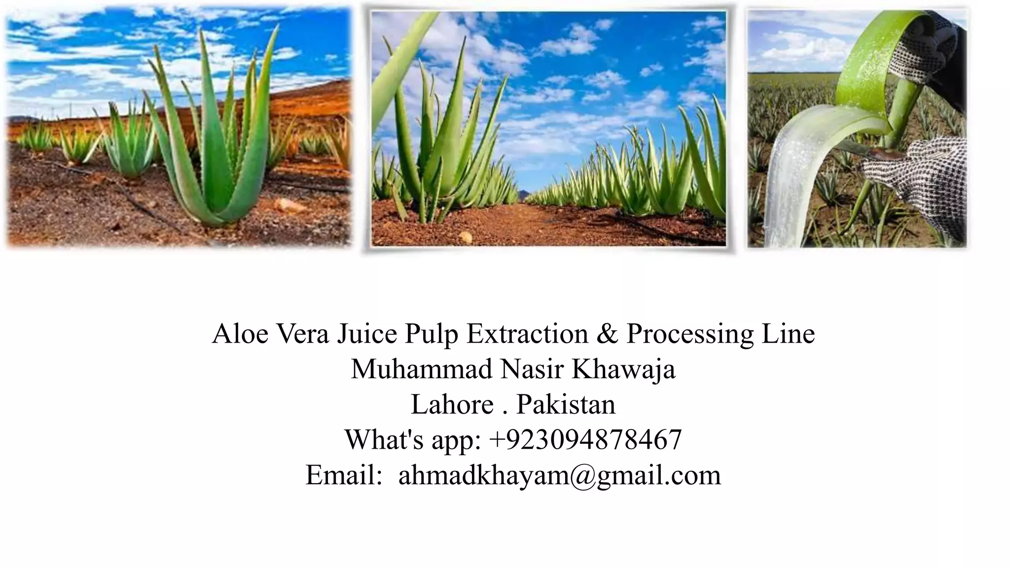 Aloe vera Pulp Extraction and juice processing line | PPT