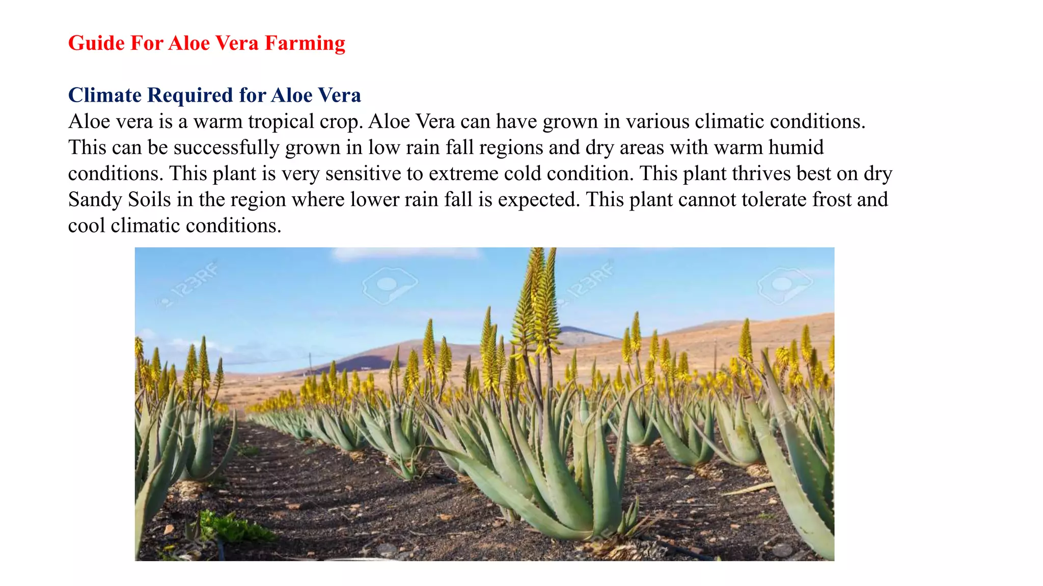 Aloe vera Pulp Extraction and juice processing line | PPT