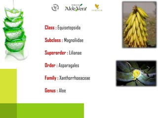 Aloevera | PPT