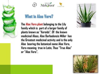 Aloevera | PDF