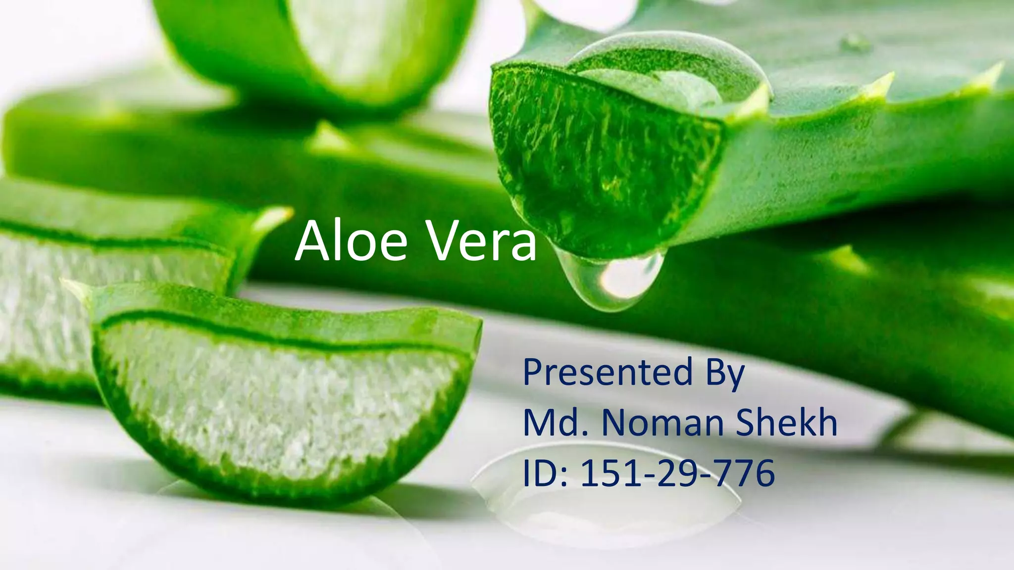 Aloe vera presentation | PPTX