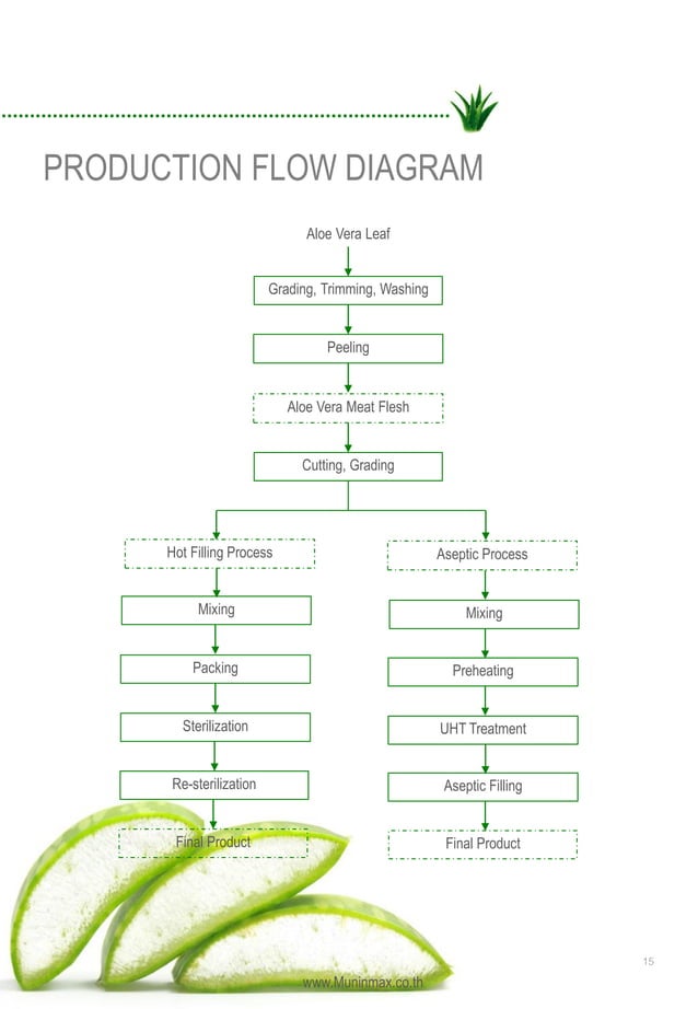Aloevera processing line - Equipment for Aloe Vera Plant | PDF ...