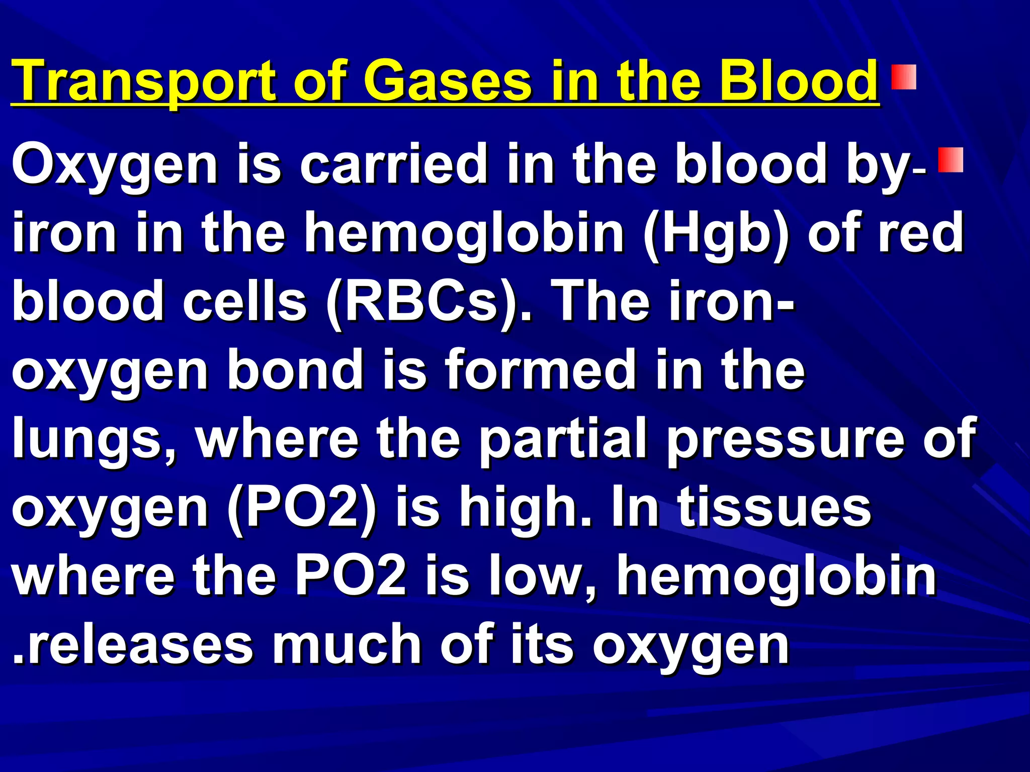 upper and lower of respiratory system | PPT
