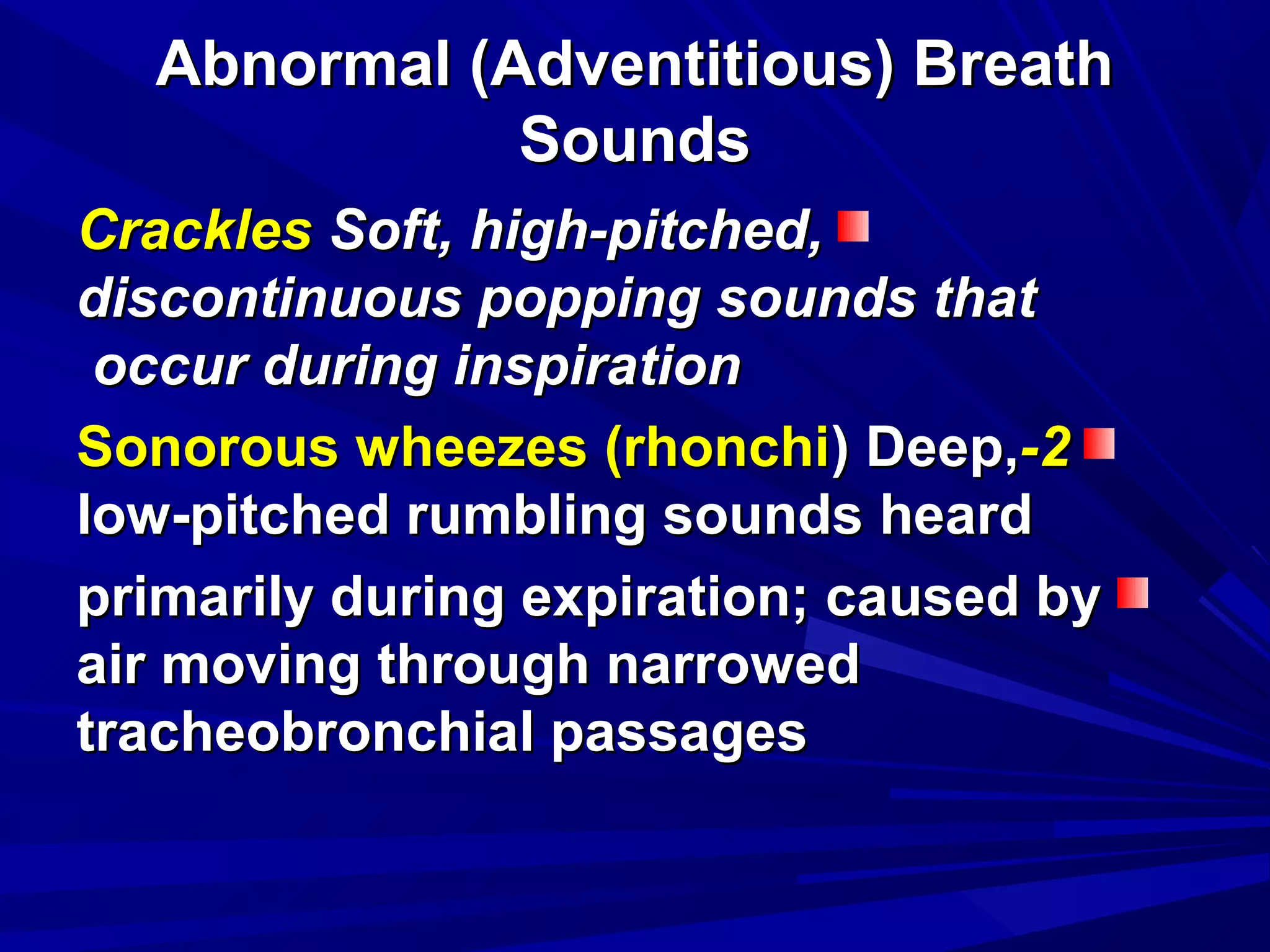 upper and lower of respiratory system | PPT