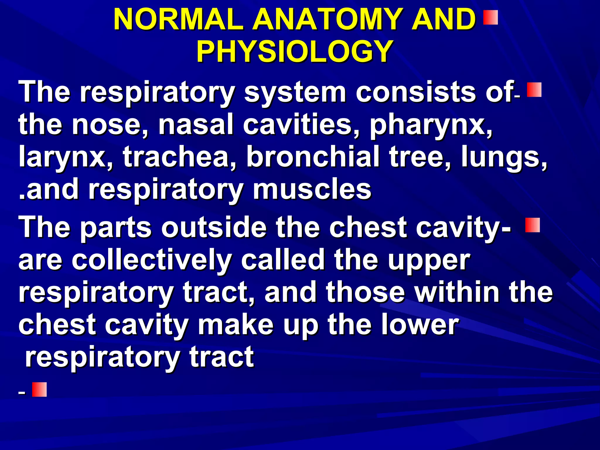 upper and lower of respiratory system | PPT