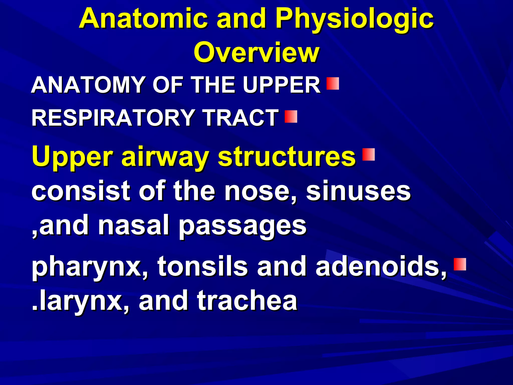 upper and lower of respiratory system | PPT