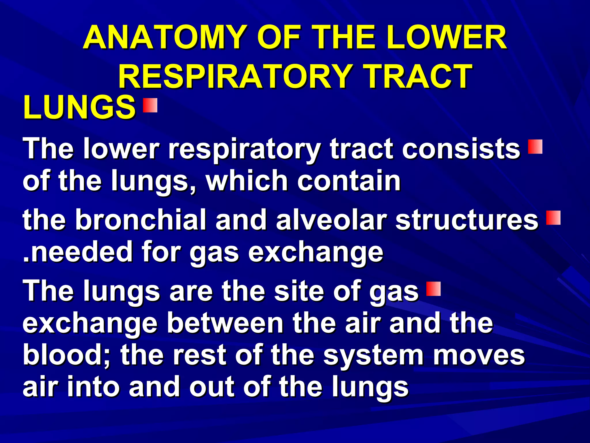 upper and lower of respiratory system | PPT
