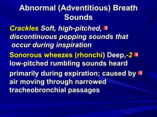 upper and lower of respiratory system | PPT