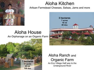 Aloha House 2014 | PPTX