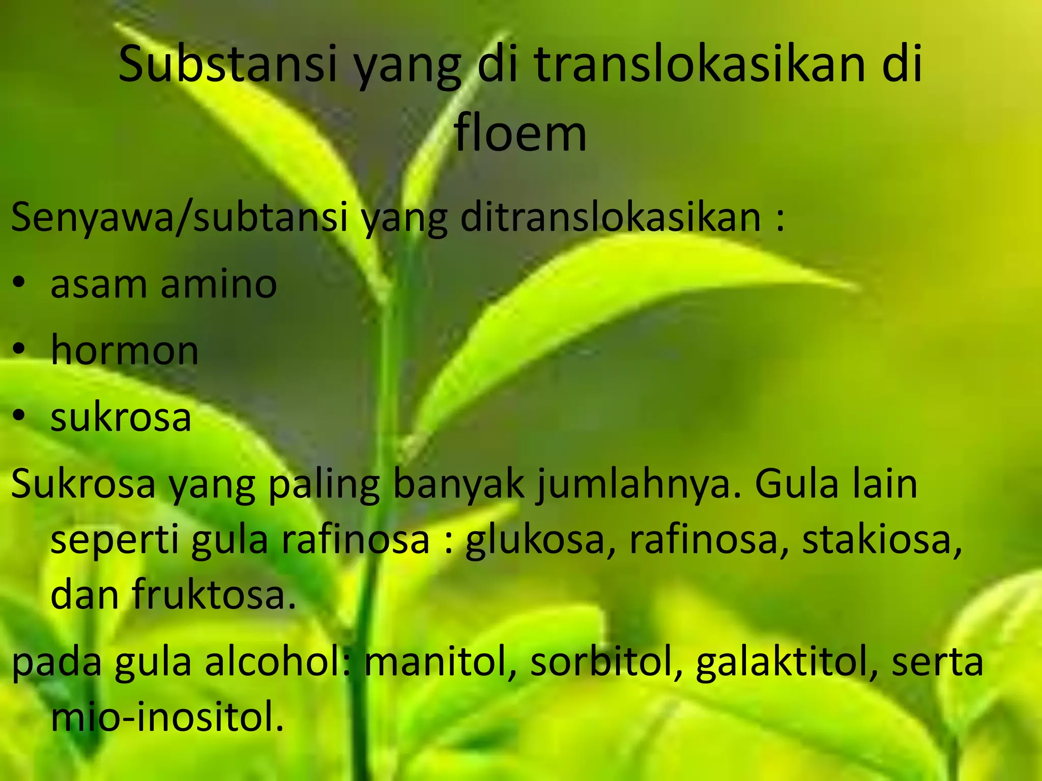 Alokasi, translokasi | PPTX