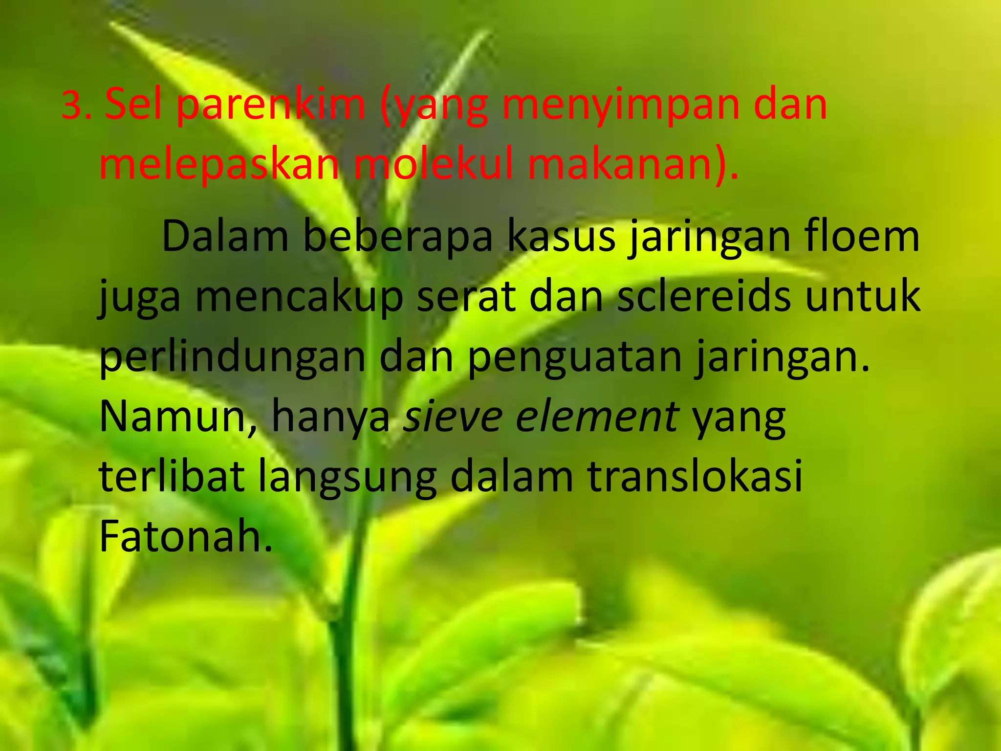 Alokasi, translokasi | PPTX