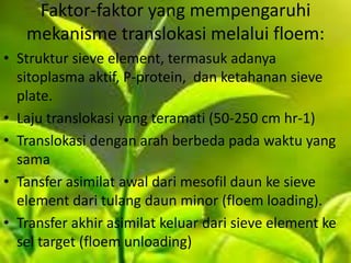 Alokasi, translokasi | PPTX