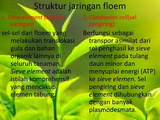 Alokasi, translokasi | PPTX