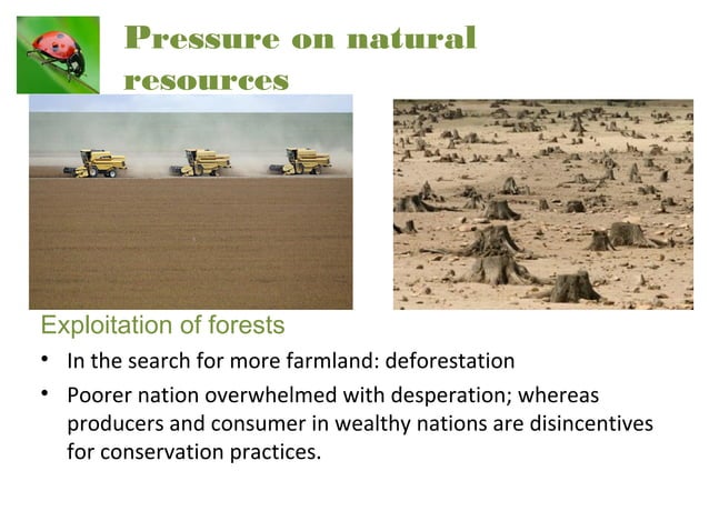 Agricultural Ethics | PPT | Agriculture | Industries
