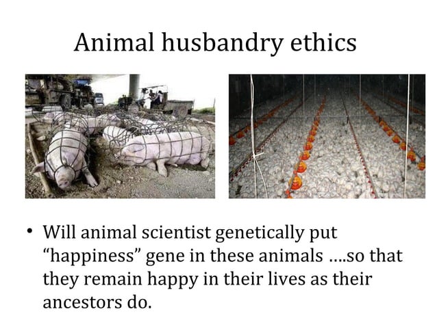 Agricultural Ethics | PPT | Agriculture | Industries