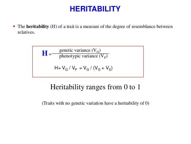 Genetic Basis of selection