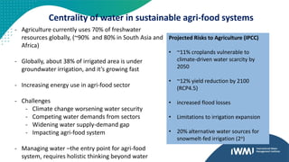 Thinking beyond water: a nexus perspective for sustainable agri-food systems – Resilient Agri ...