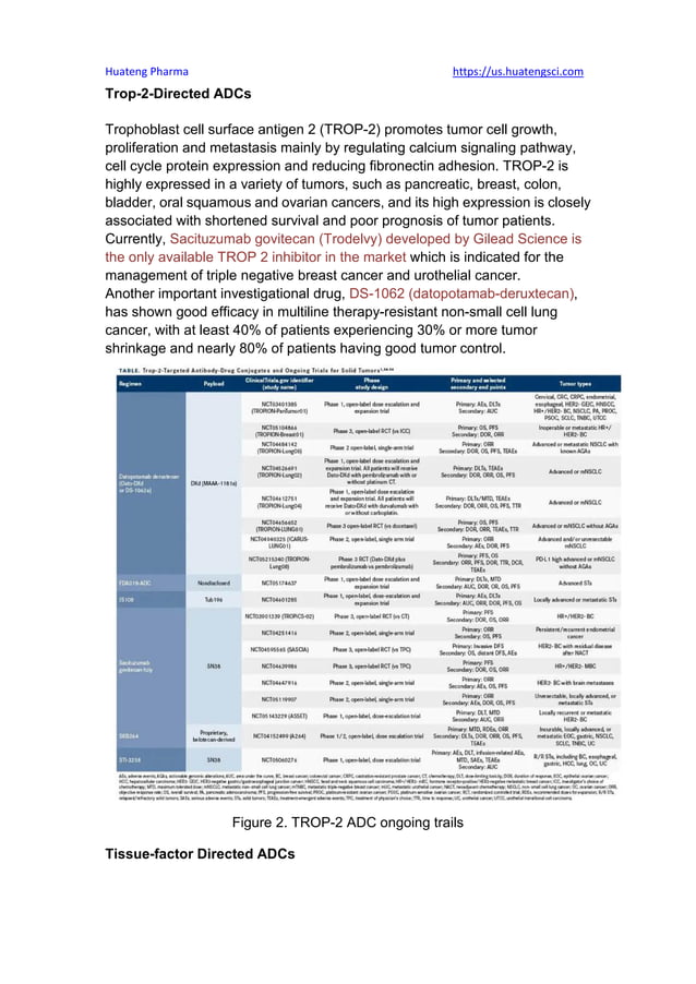 A Look into Antibody–drug conjugates (ADCs) Targets.pdf