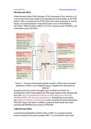 A Look into Antibody–drug conjugates (ADCs) Targets.pdf