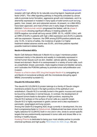 A Look into Antibody–drug conjugates (ADCs) Targets.pdf