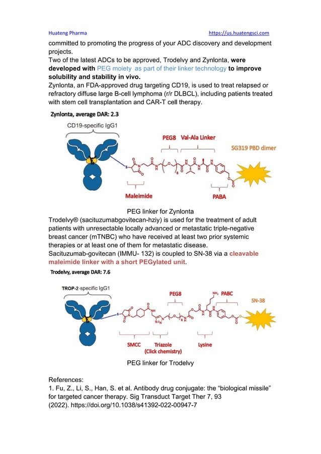 A Look into Antibody–drug conjugates (ADCs) Targets.pdf