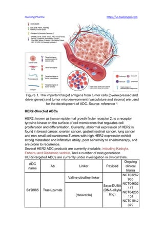 A Look into Antibody–drug conjugates (ADCs) Targets.pdf