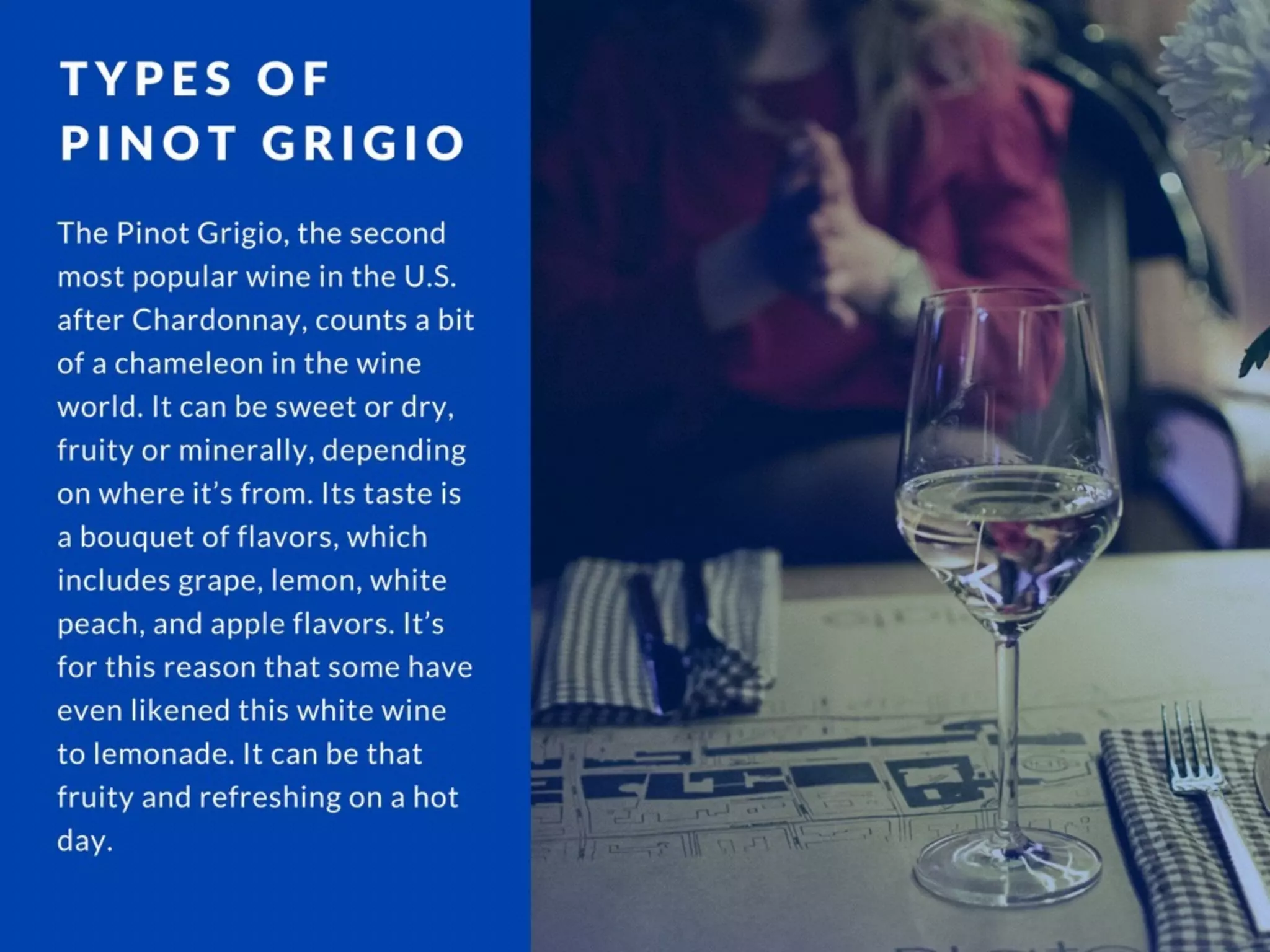 All About White Wine: A Look Into Pinot Grigio | PDF