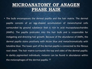 ALOPECIA.pptx