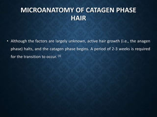 ALOPECIA.pptx