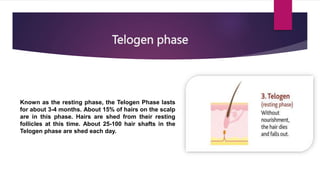 What is Alopecia/Hair loss and treatment.pptx