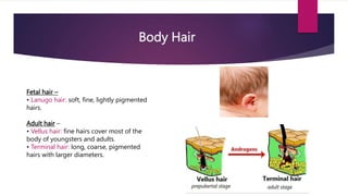 What is Alopecia/Hair loss and treatment.pptx