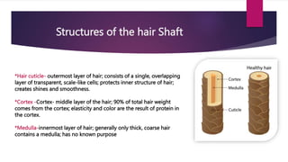 What is Alopecia/Hair loss and treatment.pptx